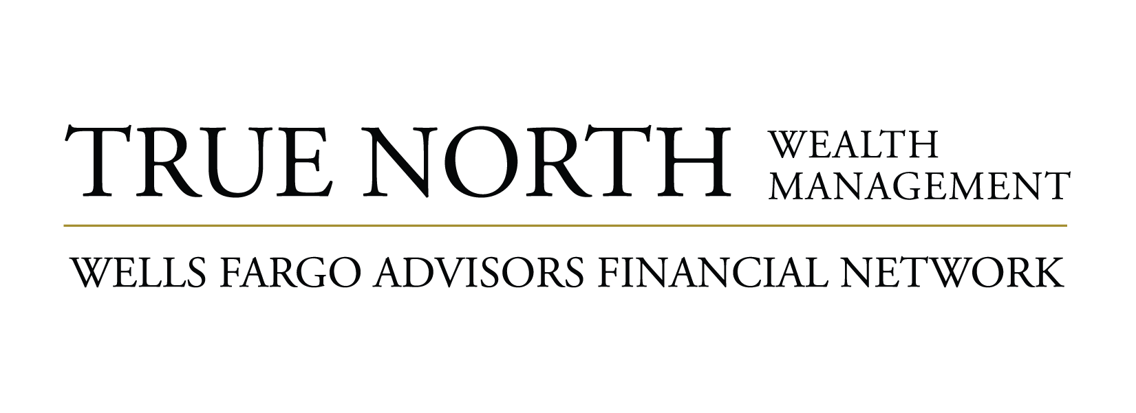 services - True North Wealth Management_2, Huntersville NC